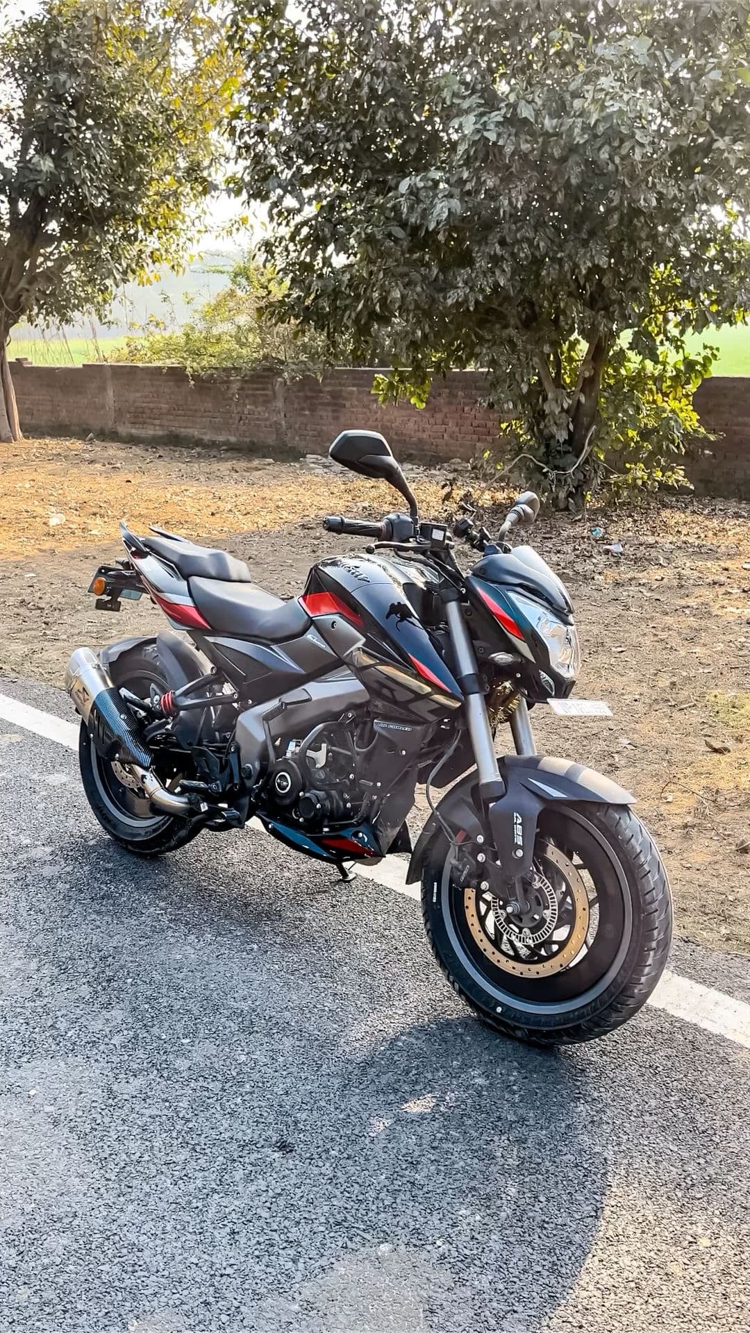 Affordable Sports Bike - Owner Review of Bajaj Pulsar 200 NS 2017-20 ...